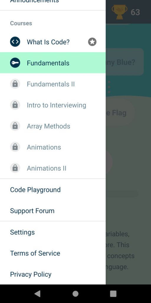 Grasshopper app review: Learn JavaScript interactively